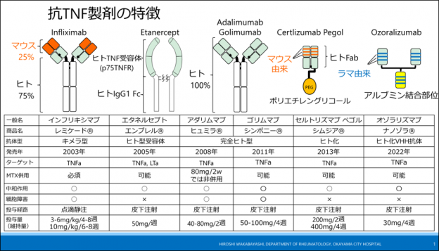 第280回 TNF阻害薬の進化 | 岡山市立市民病院 WEBマガジン